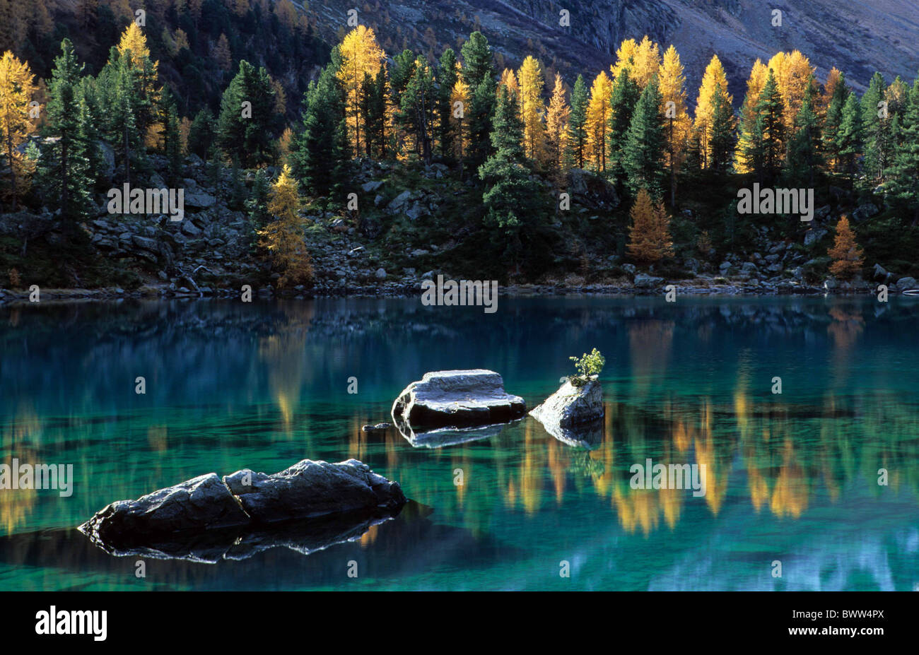 Switzerland Europe Canton Grisons Graubunden Grisons Poschiavo Lagh ...