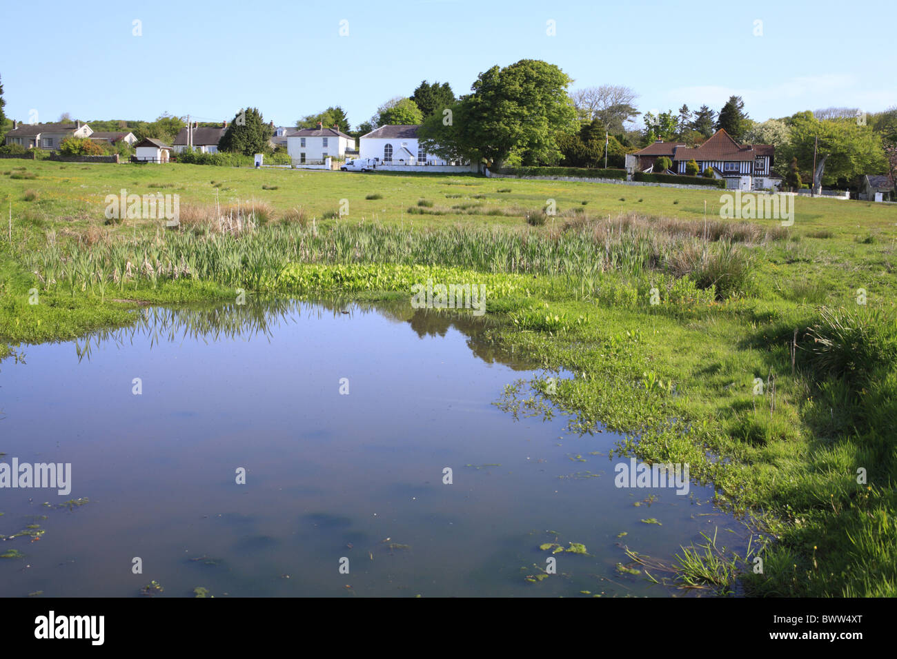 vvillage green pond water burry gower wales welsh britain british ...