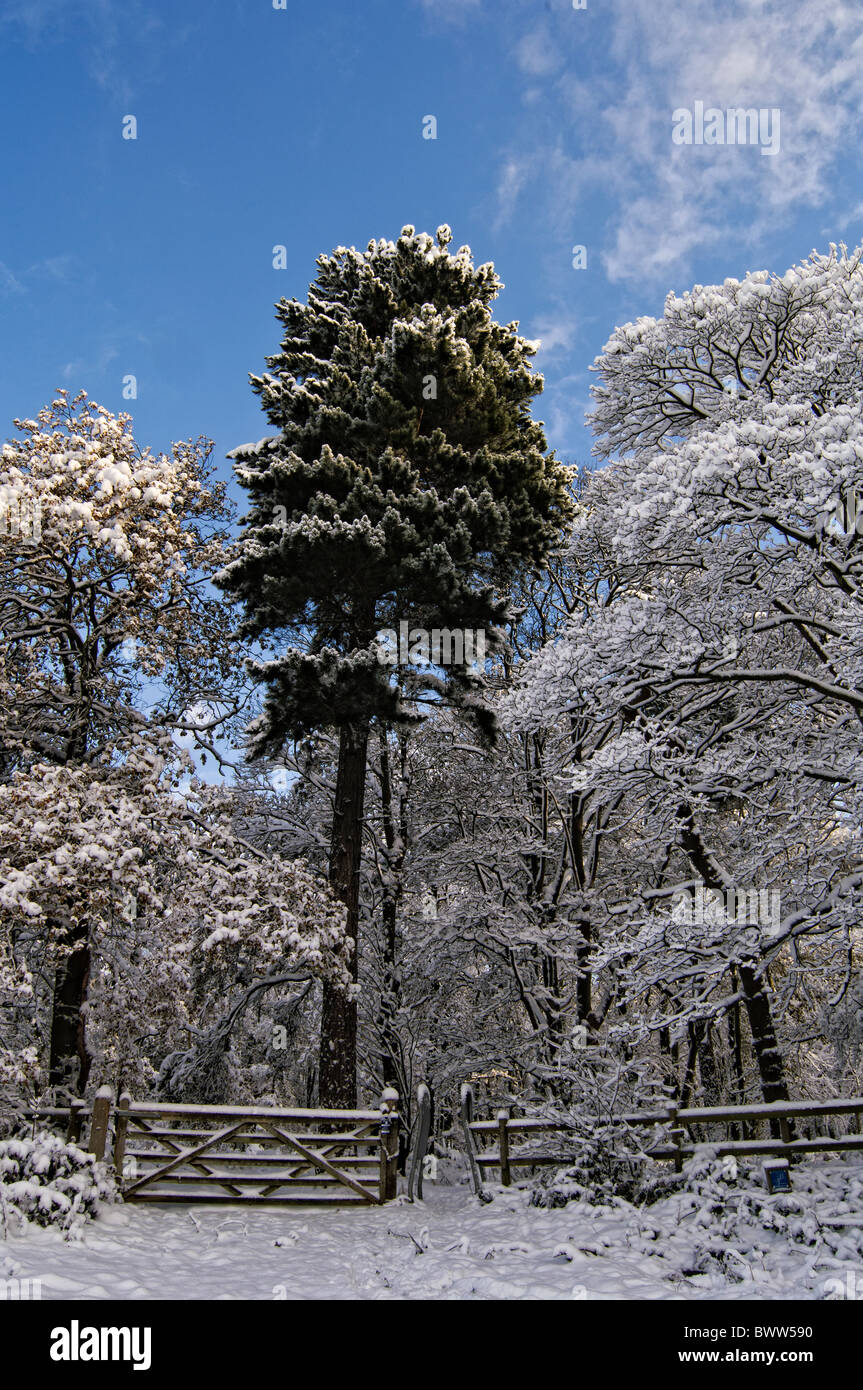 Five barred gate hi-res stock photography and images - Alamy