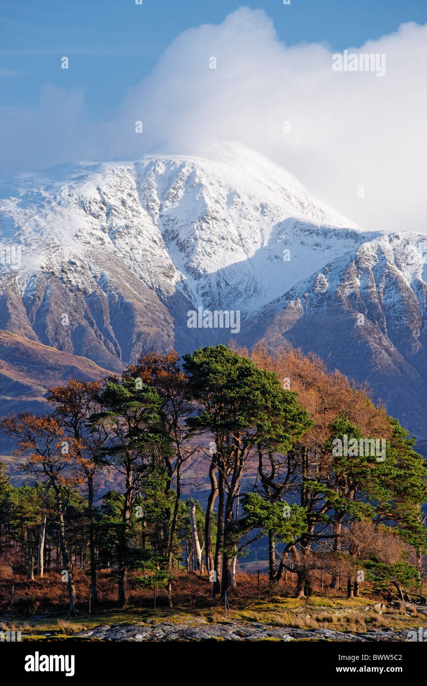Ben Nevis viewed from Inverscaddle Bay in Ardgour. Lochaber, Highland ...