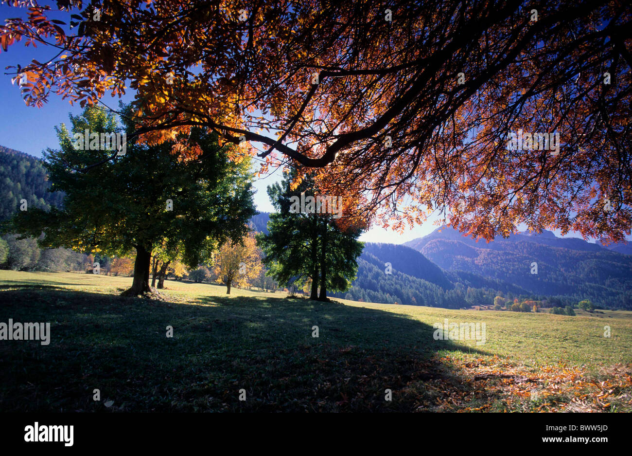 Switzerland Europe Santa Maria Canton Grisons Graubunden Grisons Val ...