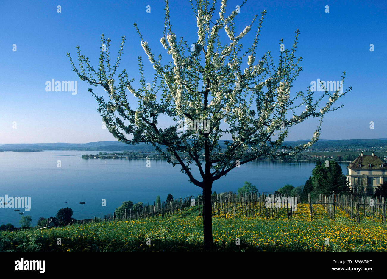 Switzerland Europe Canton Thurgau Lake Constance Arenenberg castle ...