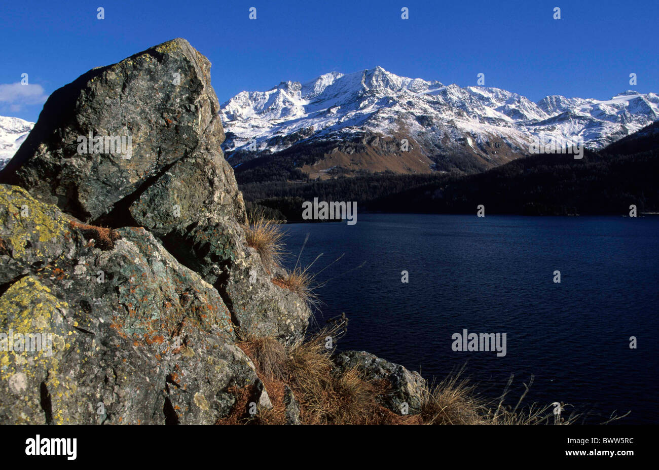Switzerland Europe lake Sils Canton Grisons Graubunden Grisons Engadine ...