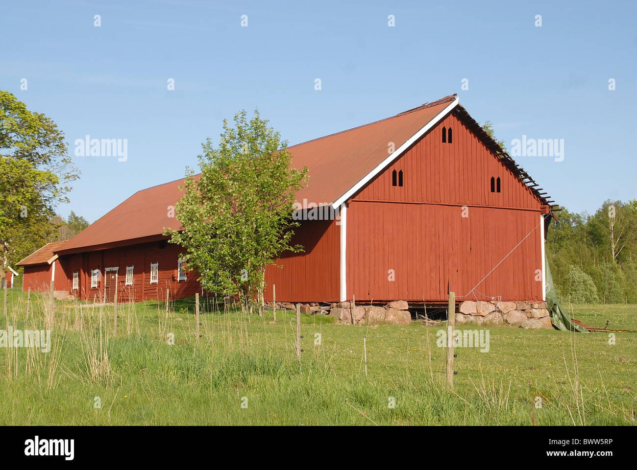 Great barn, used to house livestock in hard winters, painted in ...