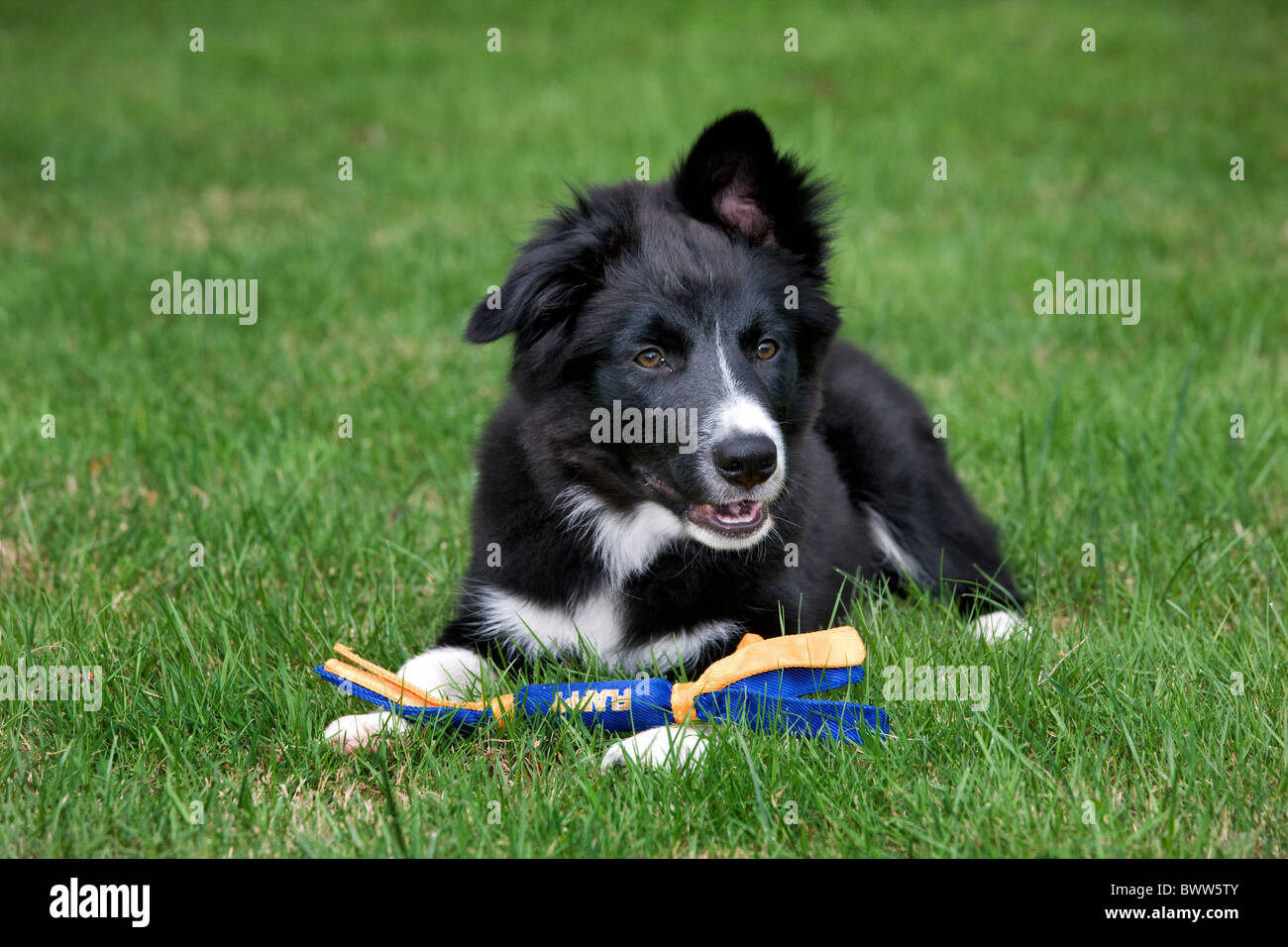 Toy border hi-res stock photography and images - Alamy