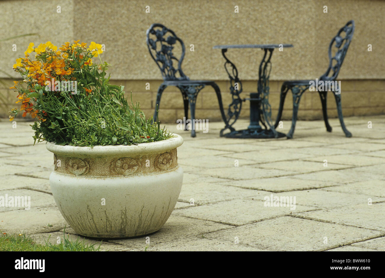 rabbit rabbits lagomorph lagomorphs mammal mammals animal animals ...