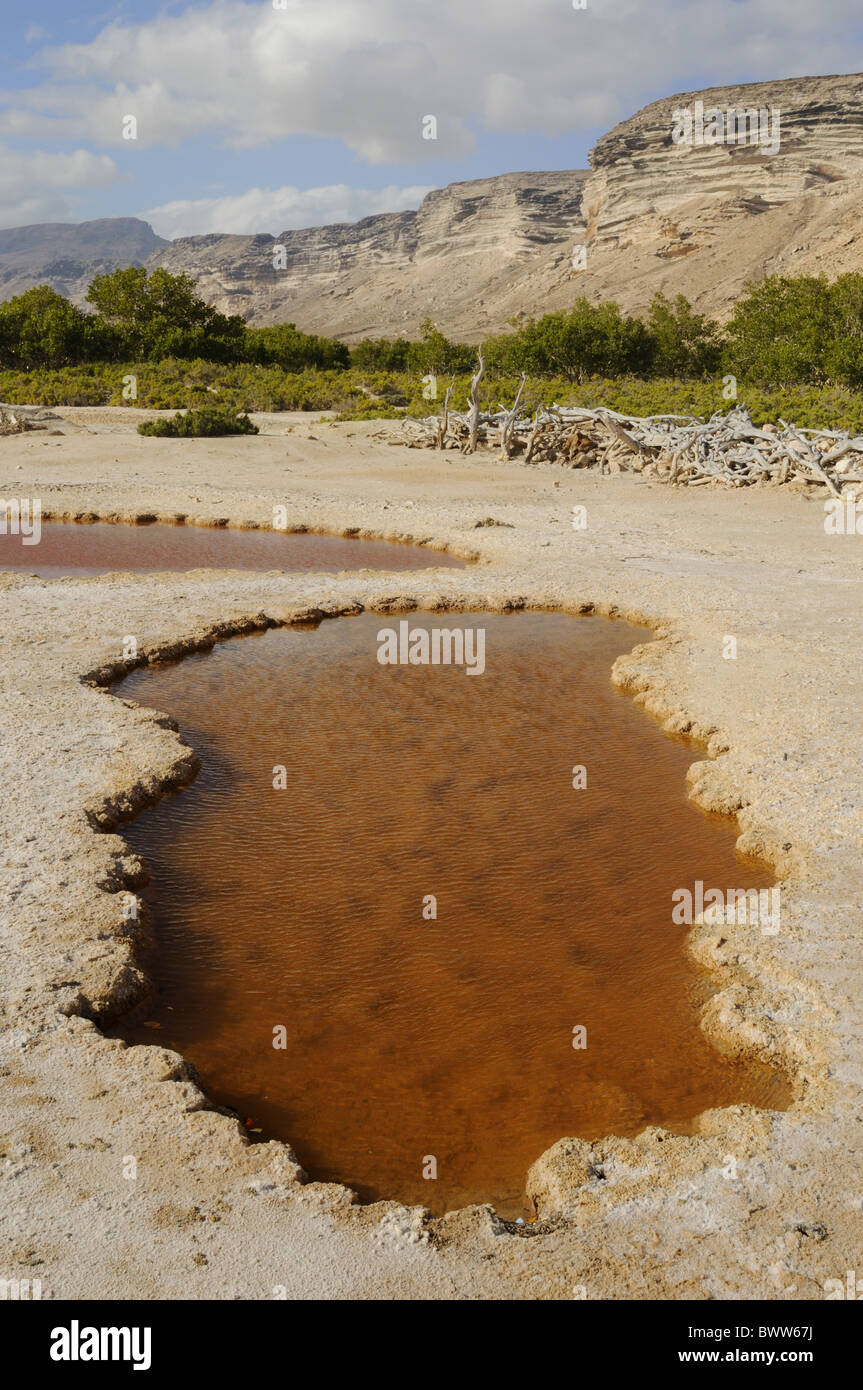 View salt pools habitat southern coast Socotra Stock Photo - Alamy