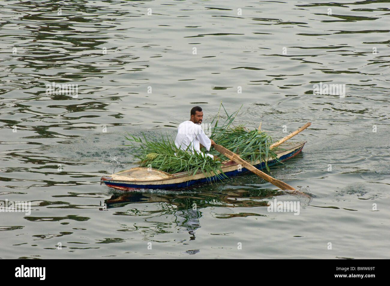 Boat and reeds hi-res stock photography and images - Alamy