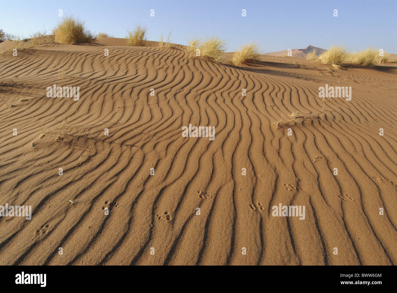 Desert Lines High Resolution Stock Photography and Images - Alamy