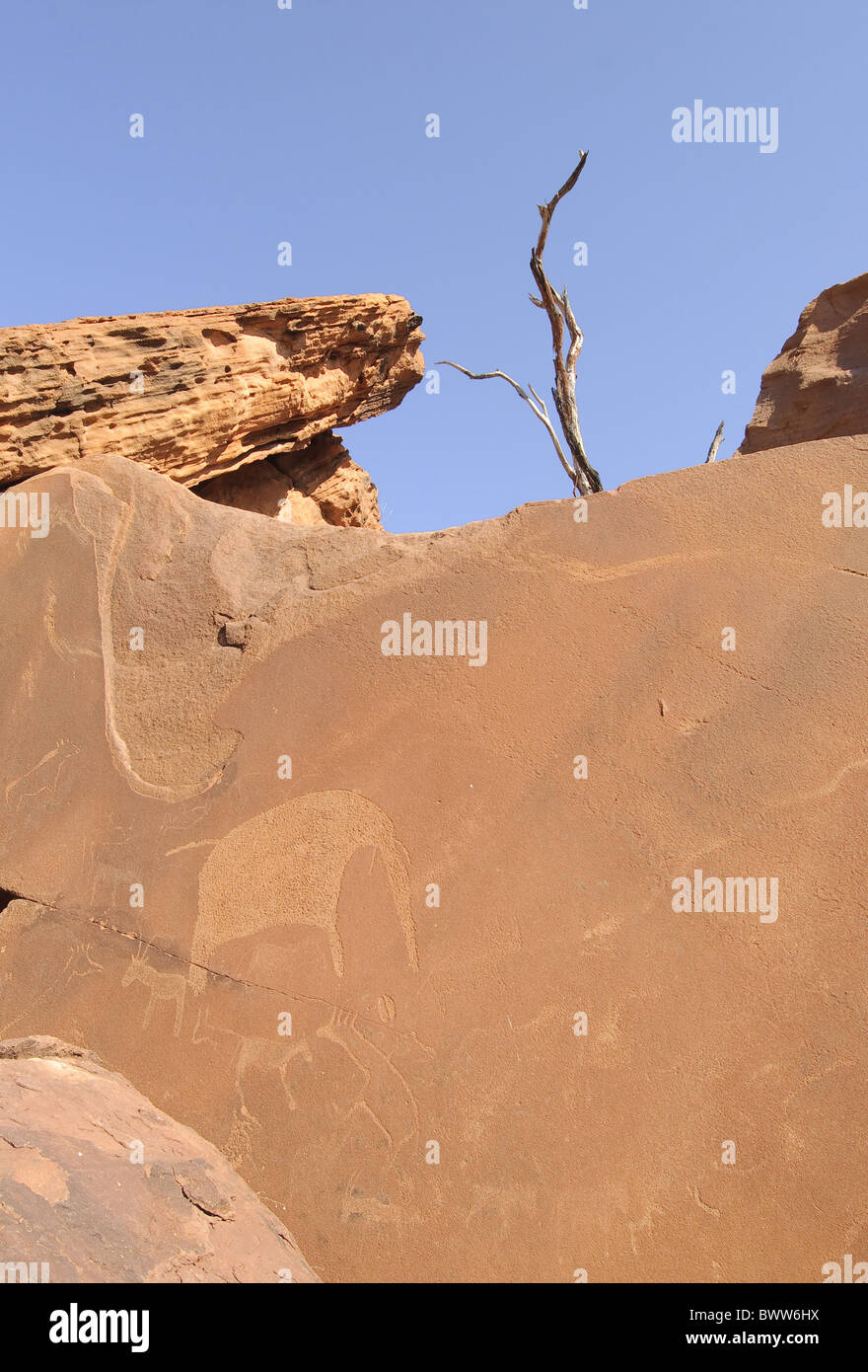 arid art bushmen desert engravings namibia petroglyfs rock san ...
