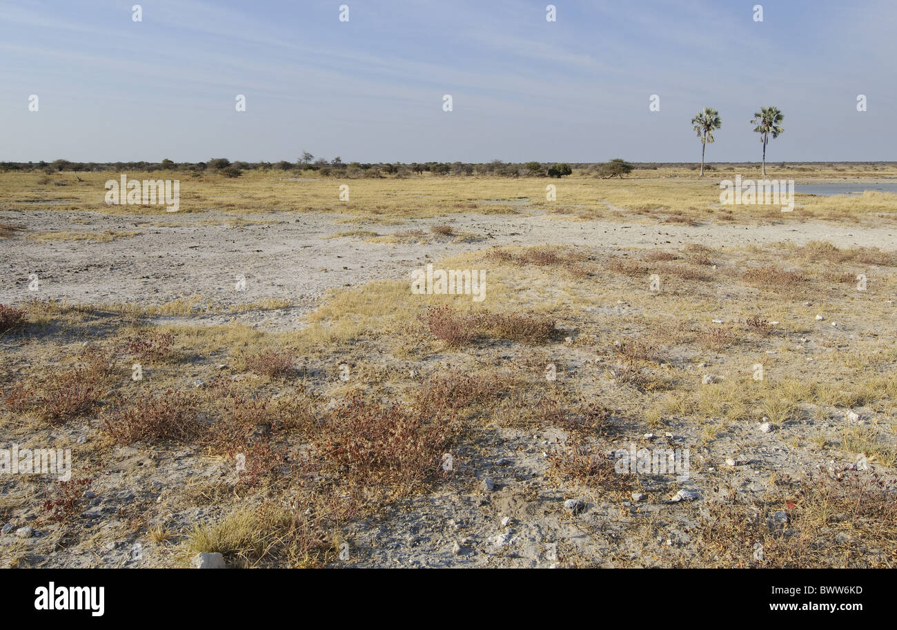 Calcrete High Resolution Stock Photography and Images - Alamy