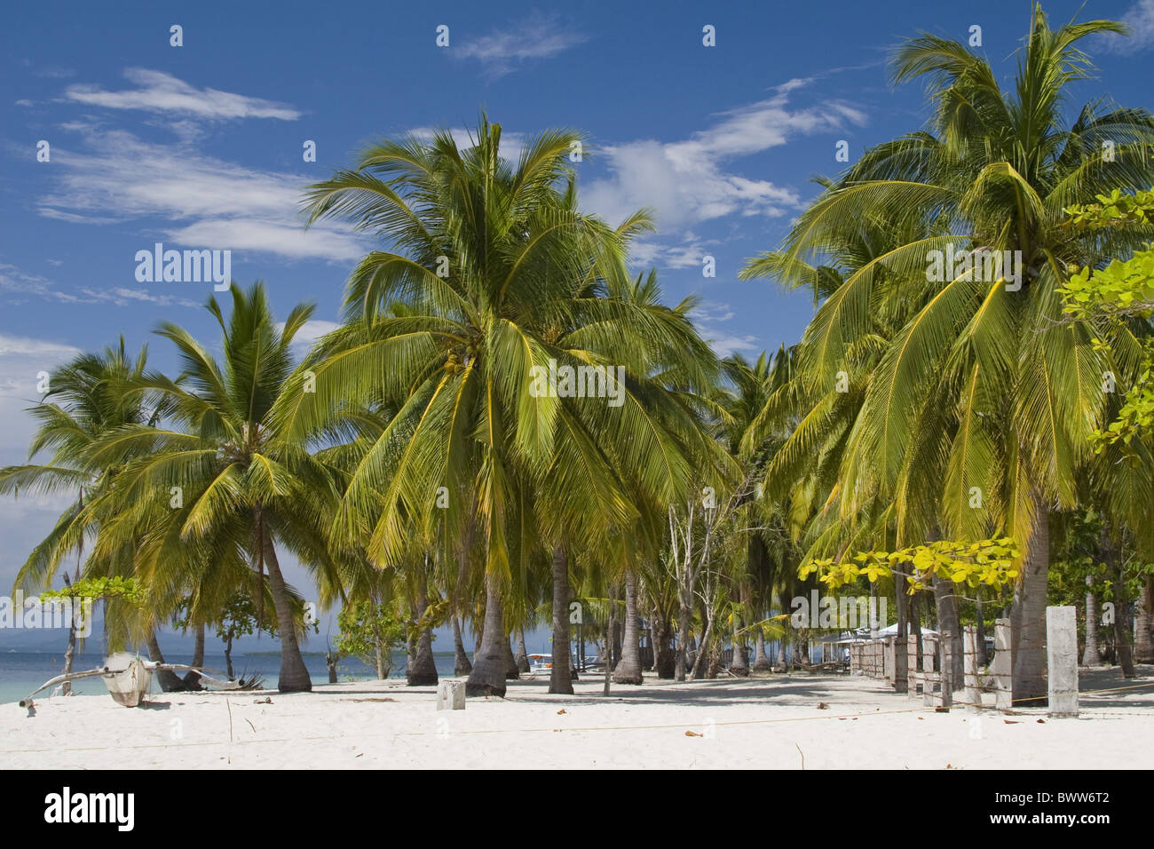 Southeast asia environment hi-res stock photography and images - Alamy
