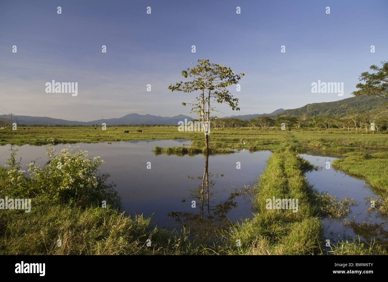 asia asian view views scenic scenery landscape landscape pool pools ...