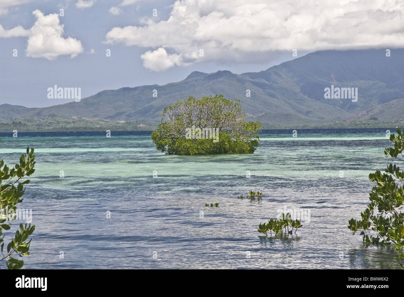 asia asian beach beaches coast coasts coastal habit habitatm habitats ...