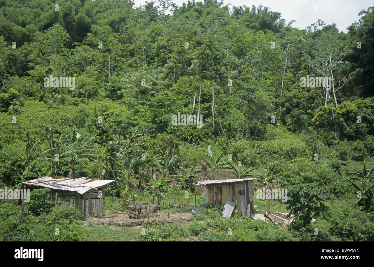 caribbean "west indies" "west indian" "trinidad and tobago" country ...
