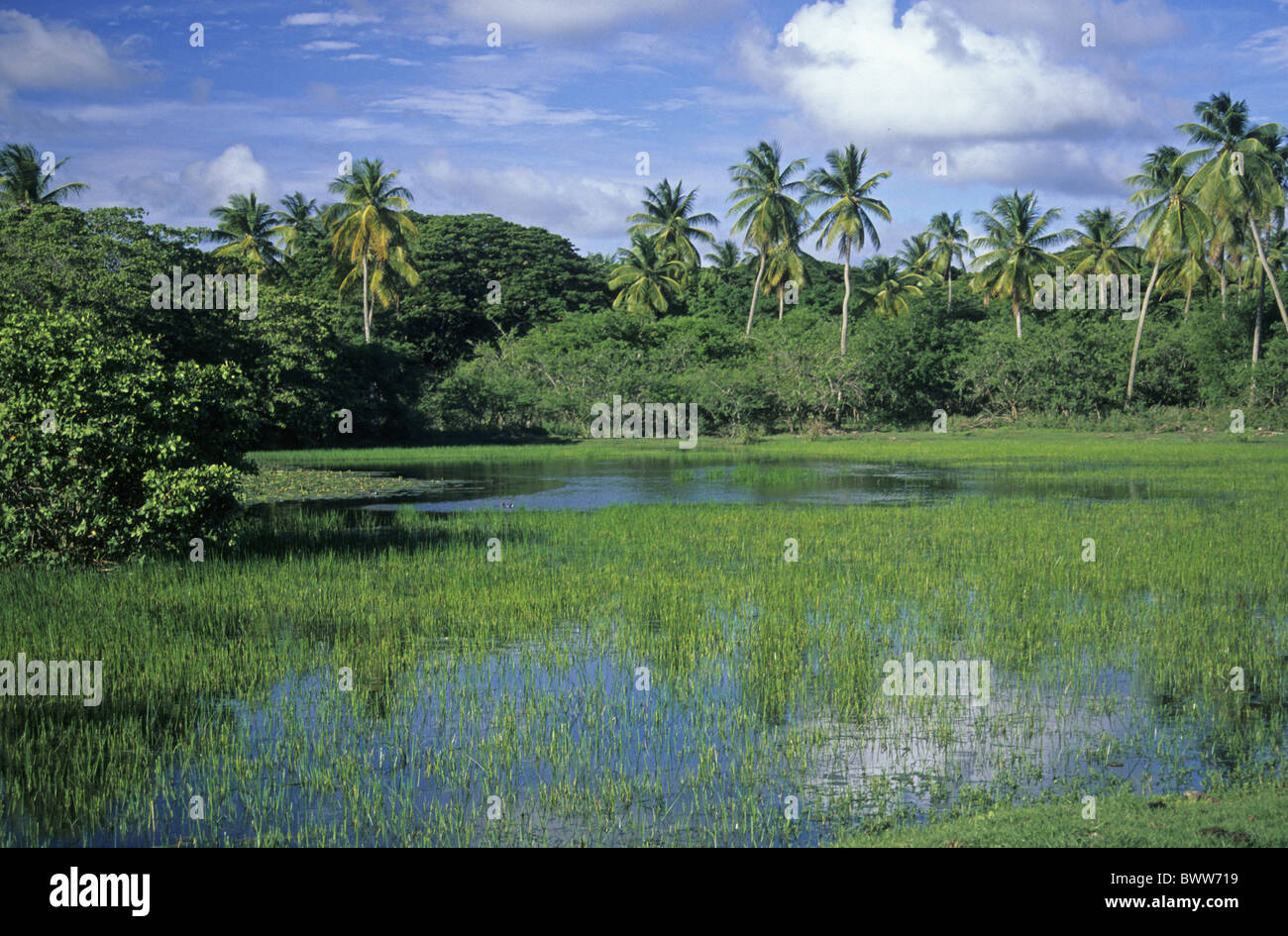 caribbean "west indies" "west indian" "trinidad and tobago" country ...