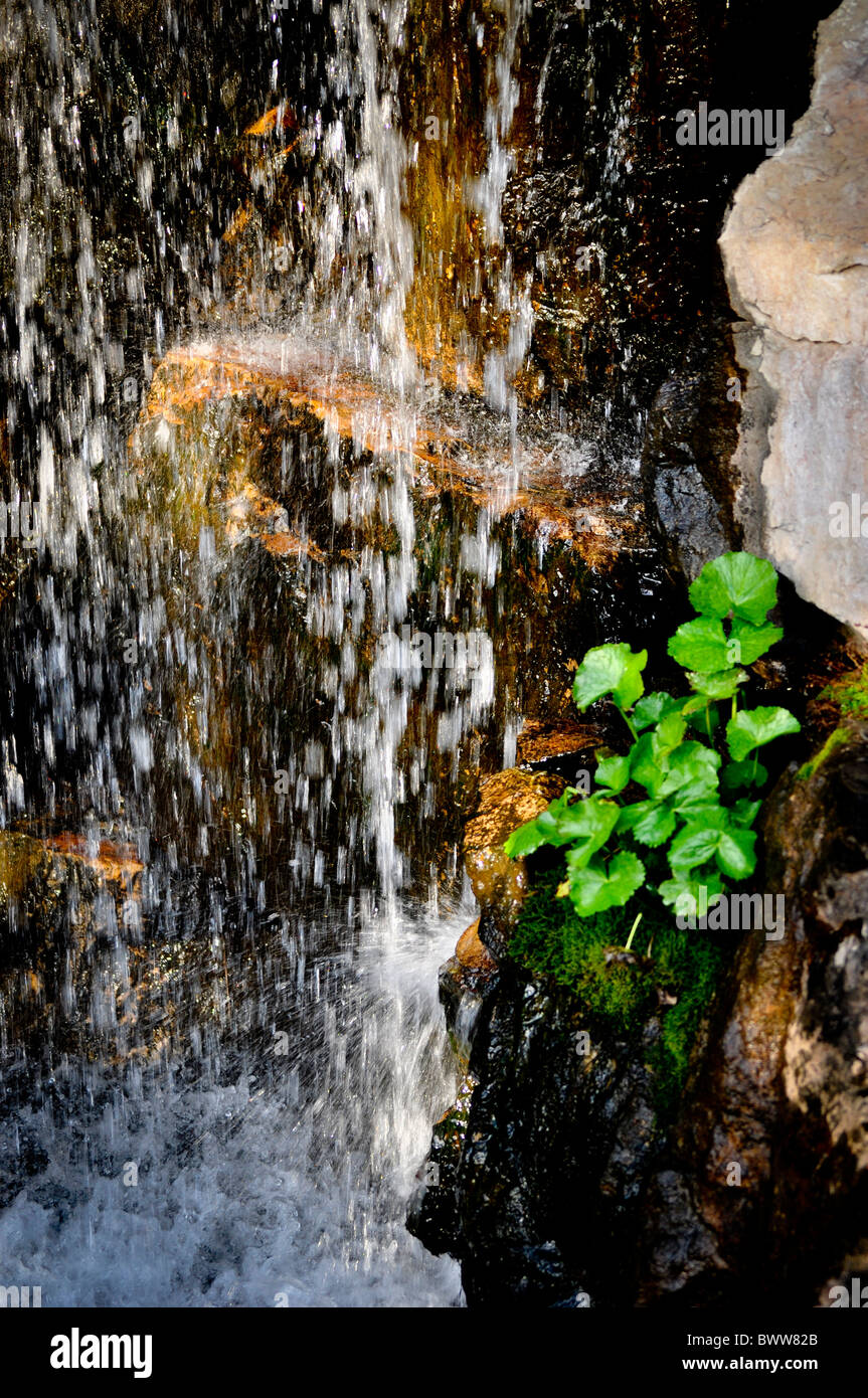 Close up small mountain waterfall hi-res stock photography and images ...