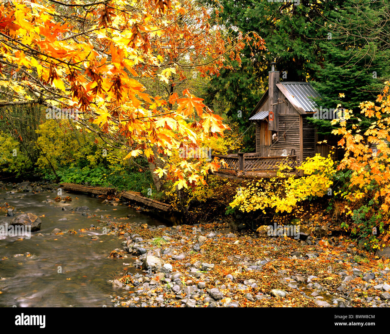 Cabin by stream in Autumn Stock Photo - Alamy