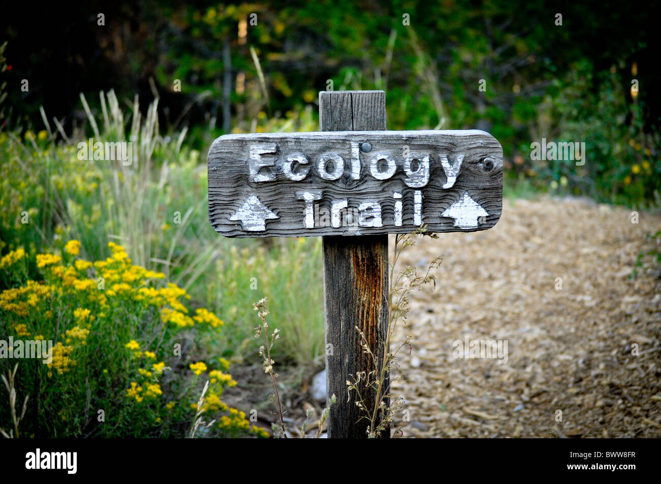 Ecology trail sign Stock Photo - Alamy