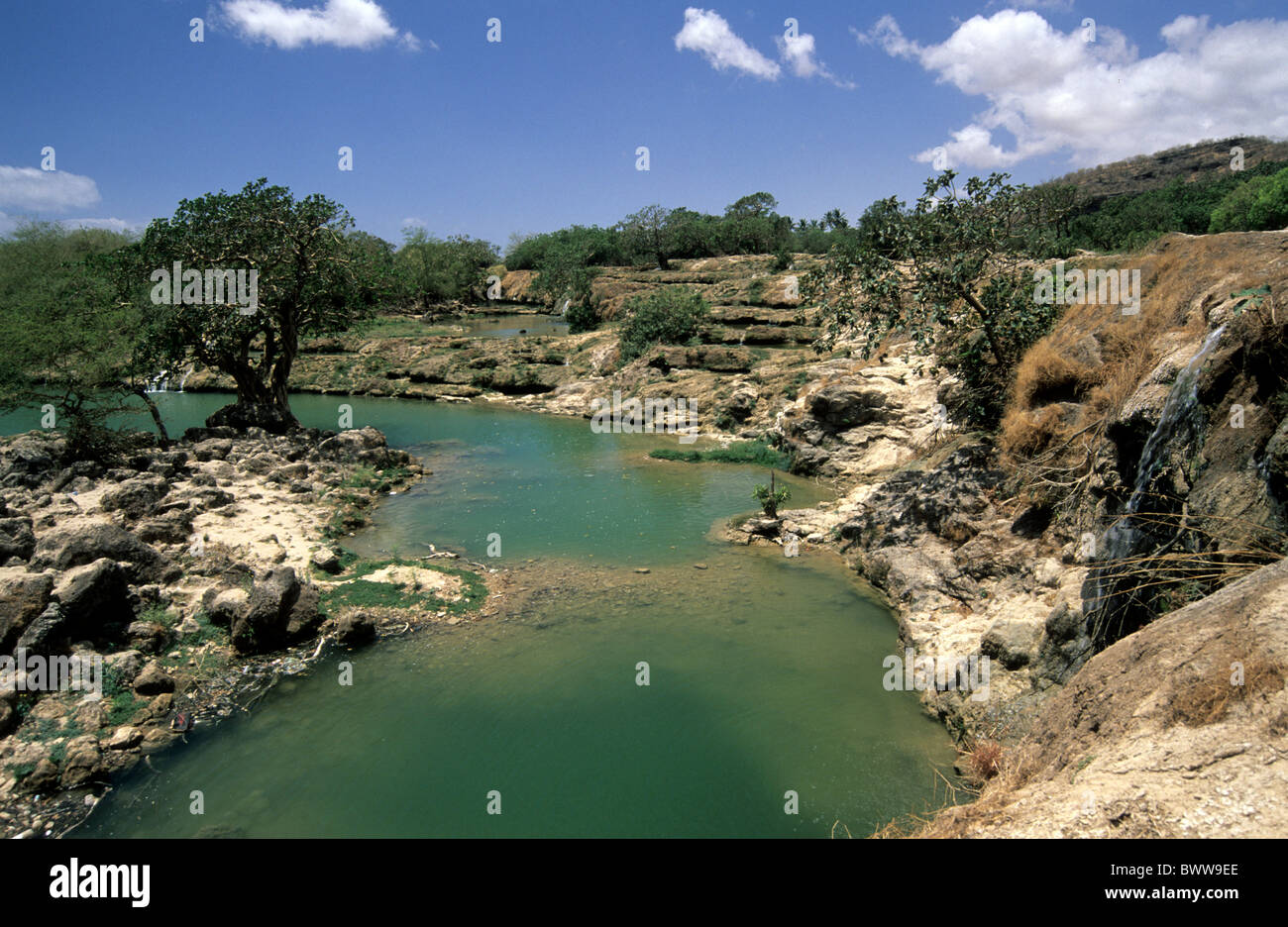 Oman dhofar not desert trees hi-res stock photography and images - Alamy