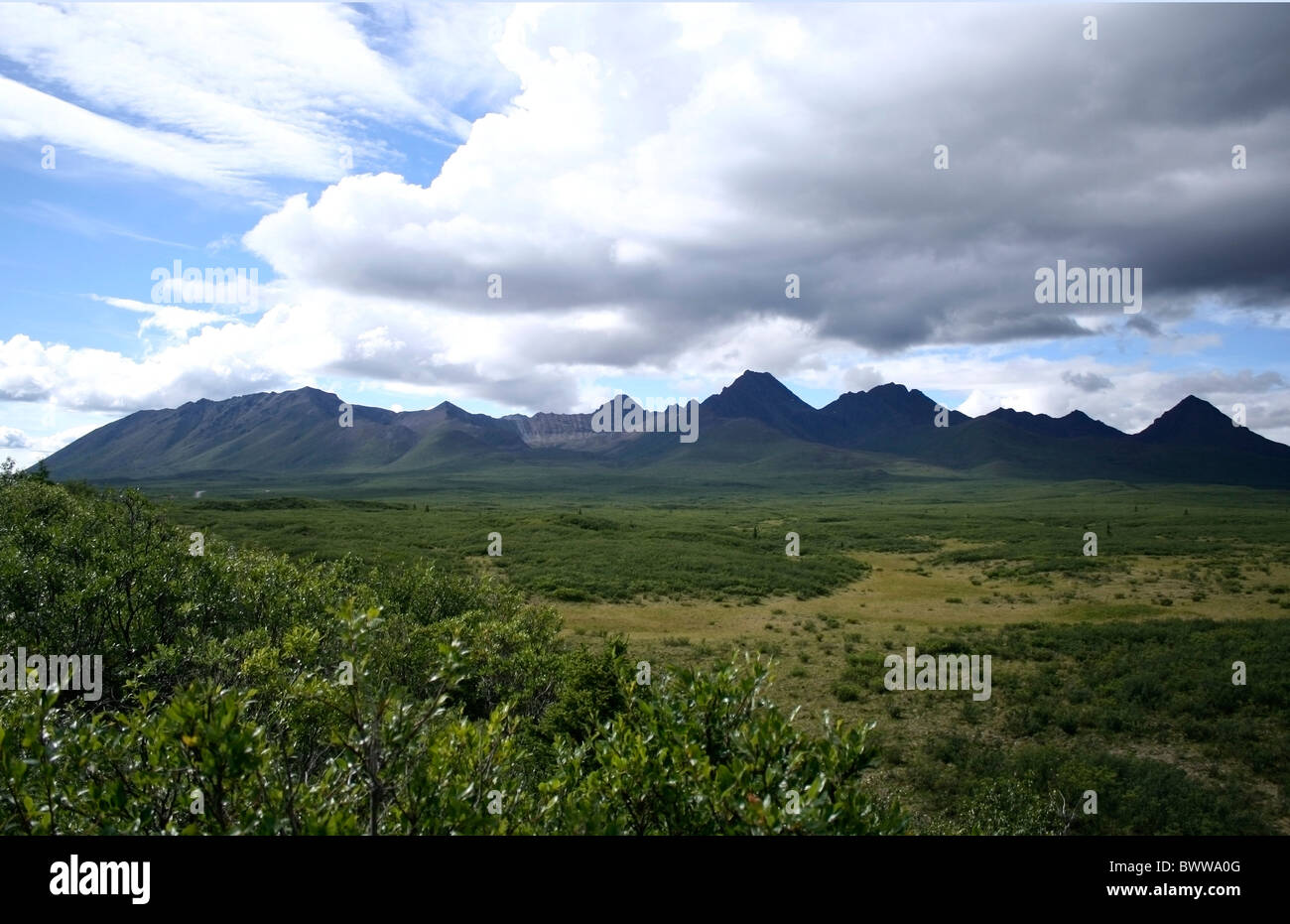 Denali Highway Landscape Stock Photo - Alamy