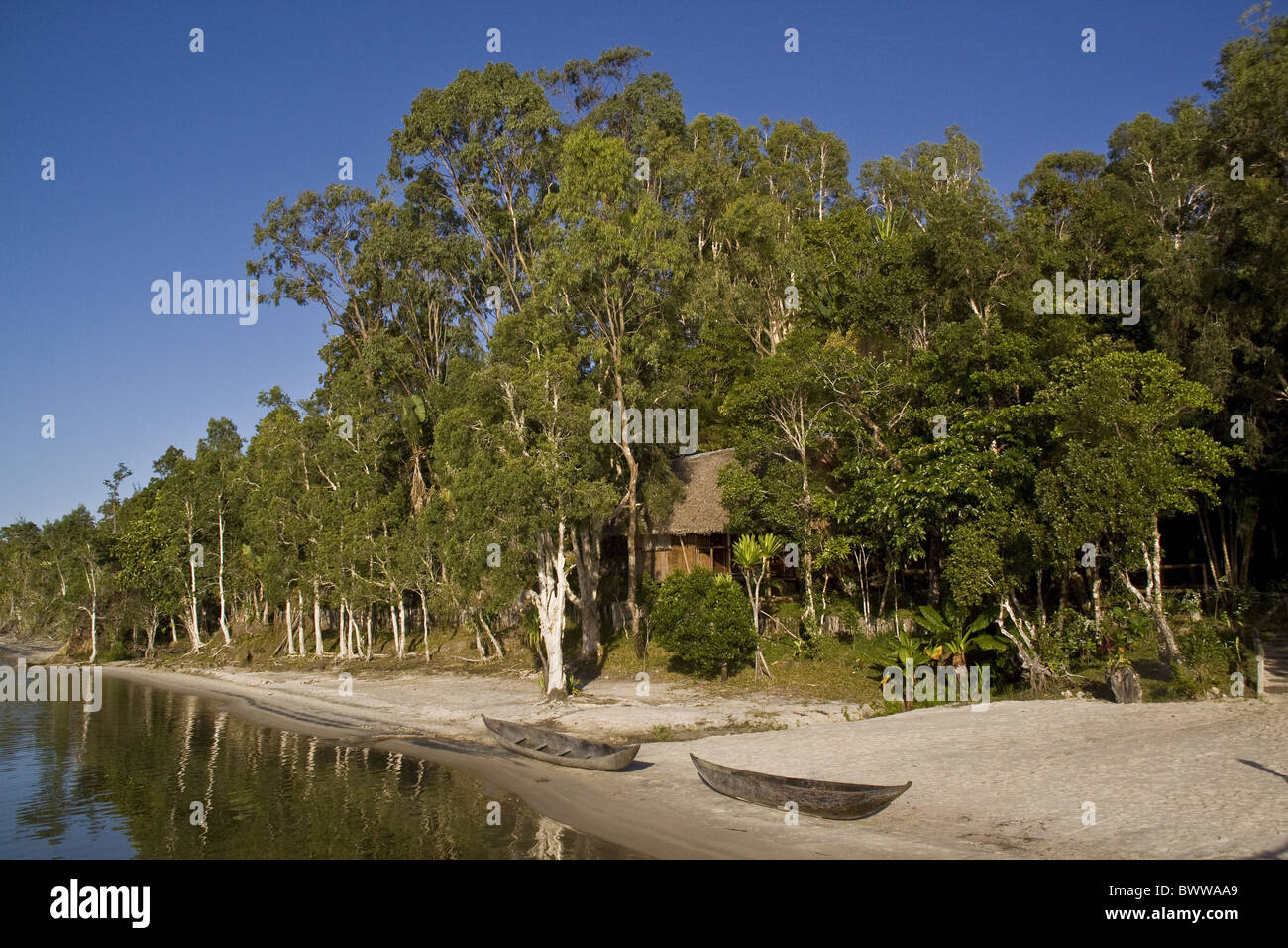 Dug out canoe beach Bush House looking towards Stock Photo - Alamy