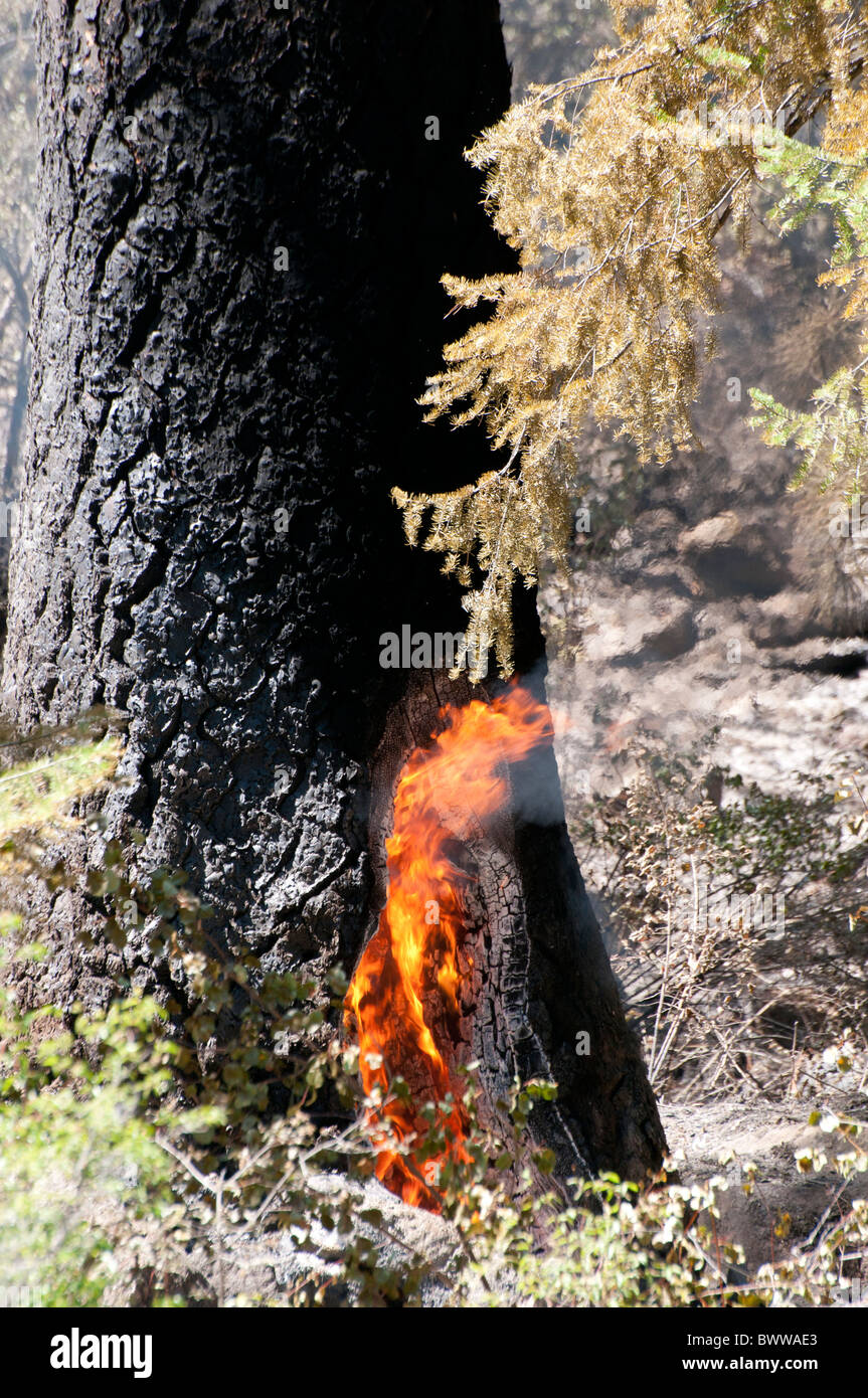 Wildfire firefighting hi-res stock photography and images - Alamy
