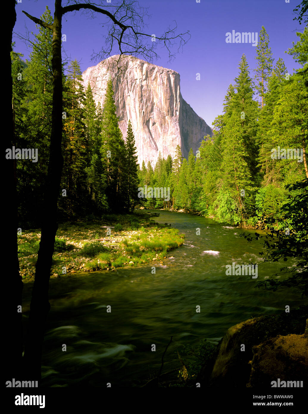 River in Yosemite Park Stock Photo - Alamy