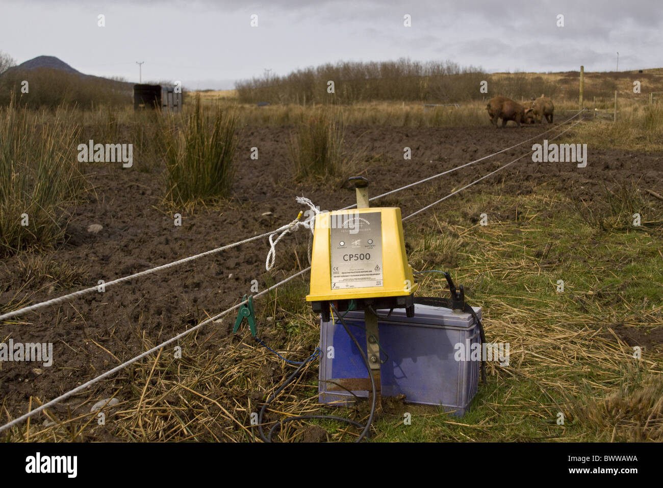 88889 hi-res stock photography and images - Alamy