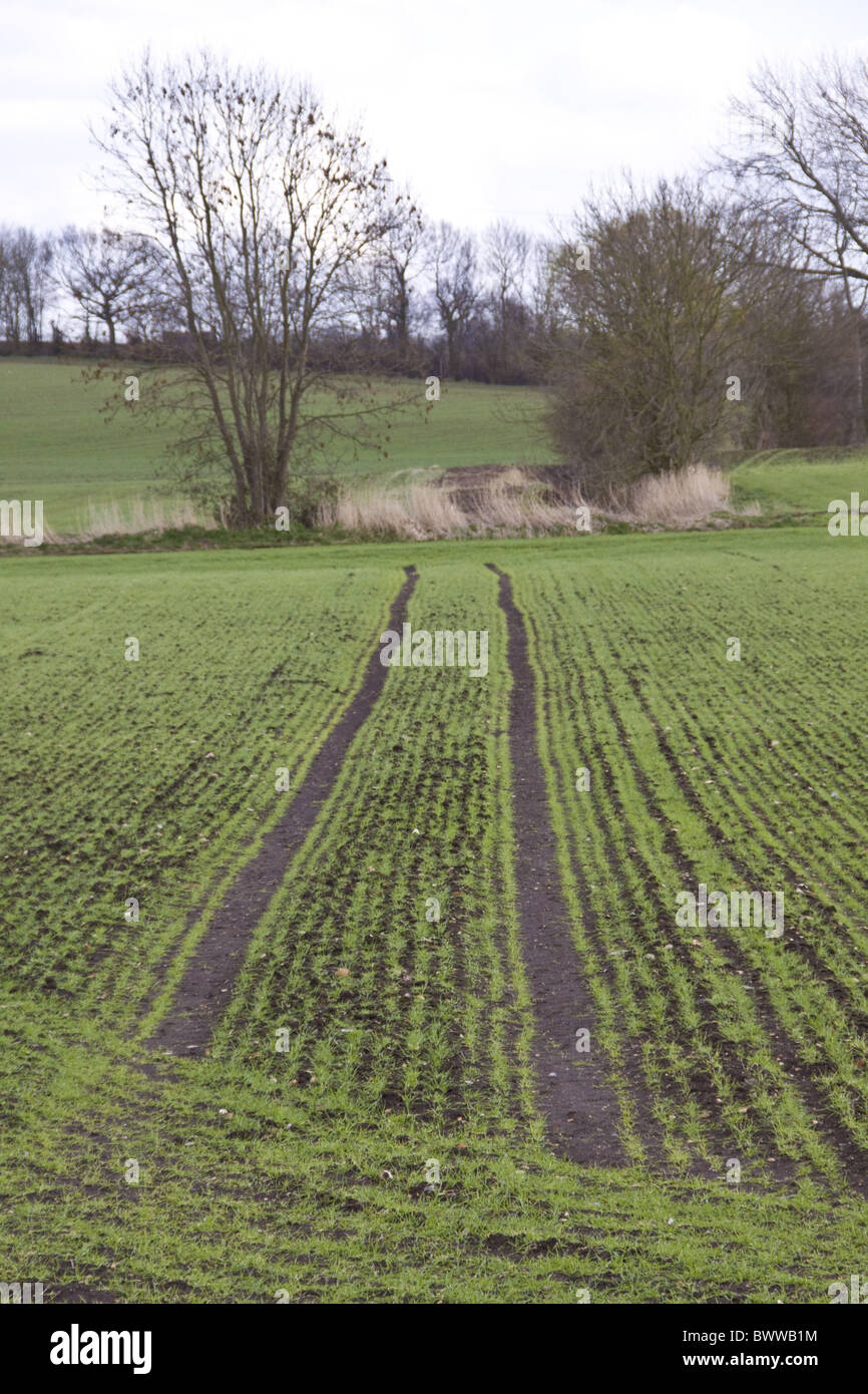 Tramlines hi-res stock photography and images - Alamy