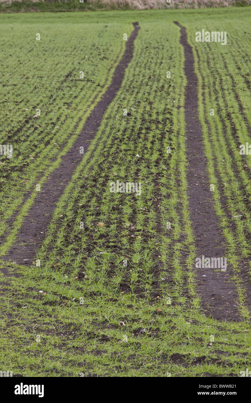 Tramlines hi-res stock photography and images - Alamy