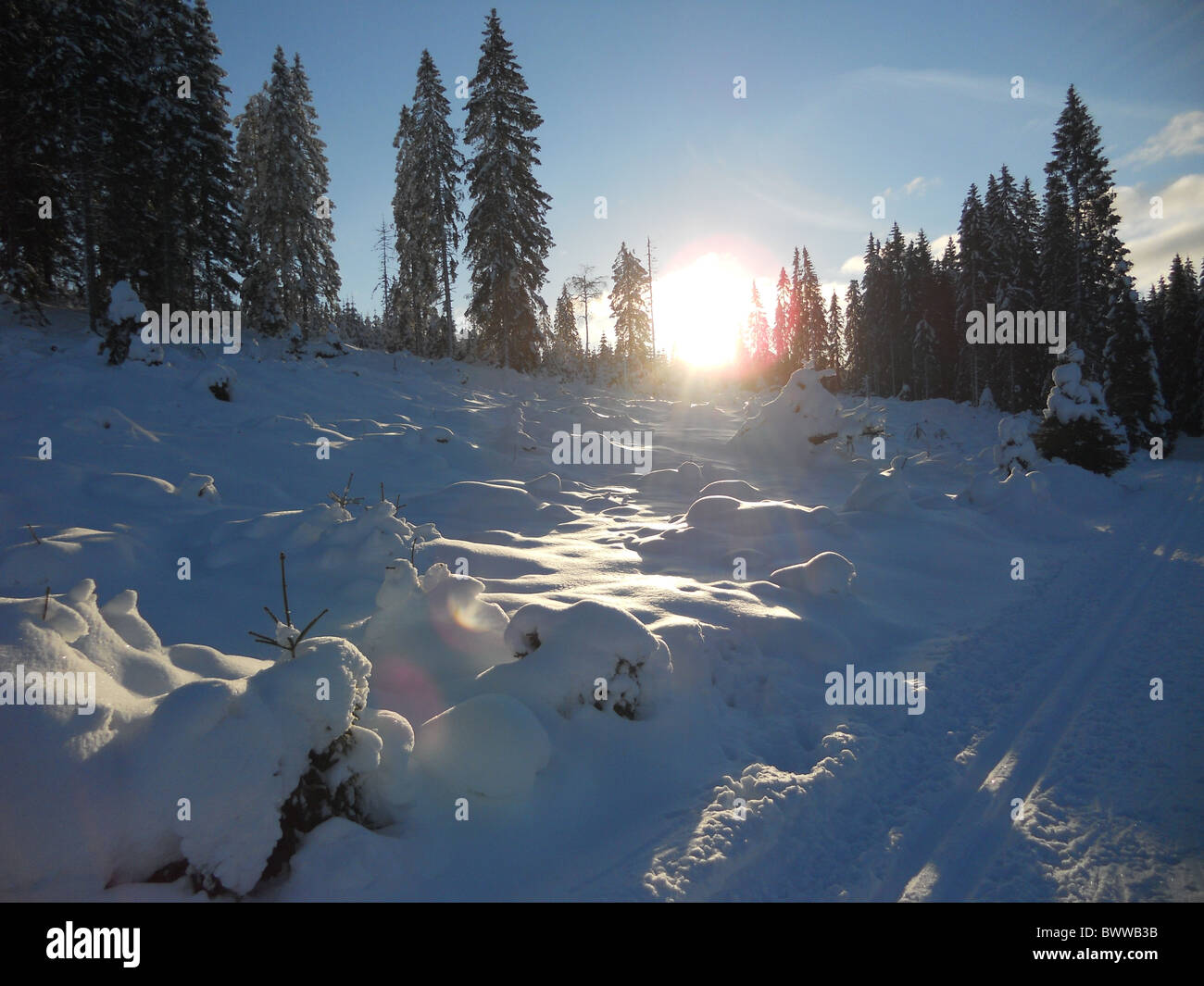 Snow x mas hi-res stock photography and images - Alamy