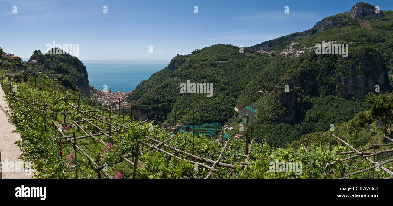 Italy Europe Vineyards near Pontone Amalfi coast Campania region sea ...