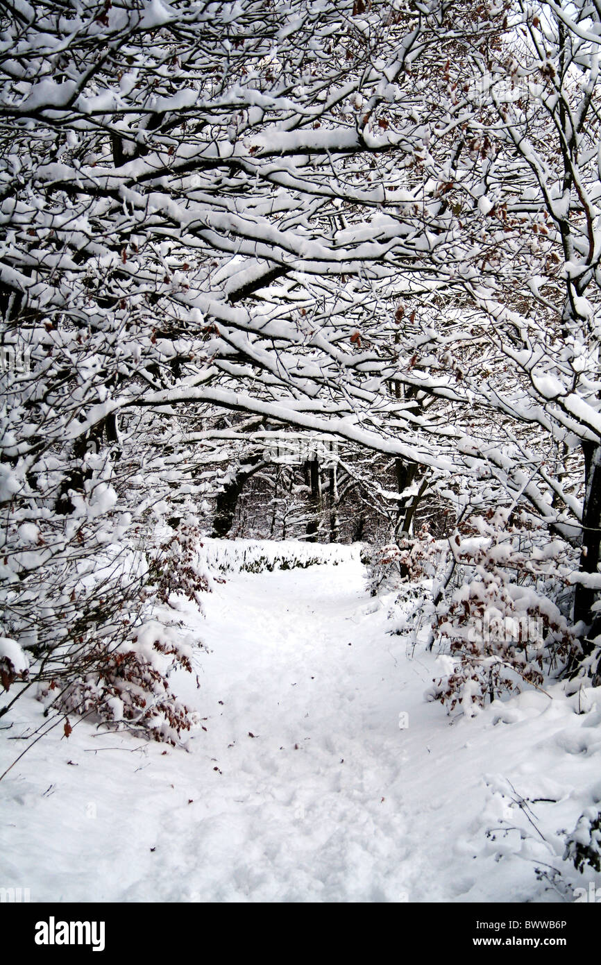 Arches lane hi-res stock photography and images - Alamy
