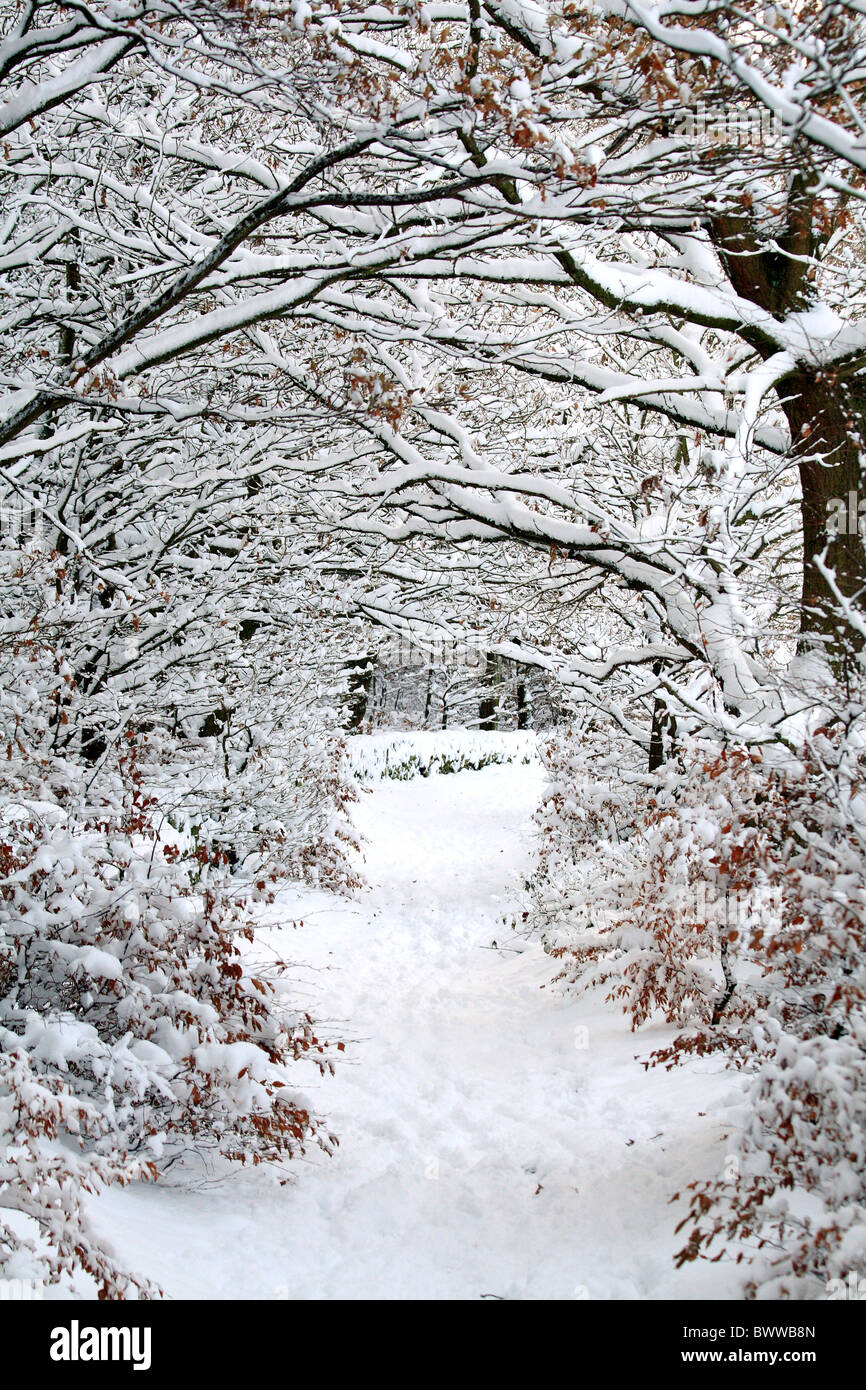 Arches lane hi-res stock photography and images - Alamy