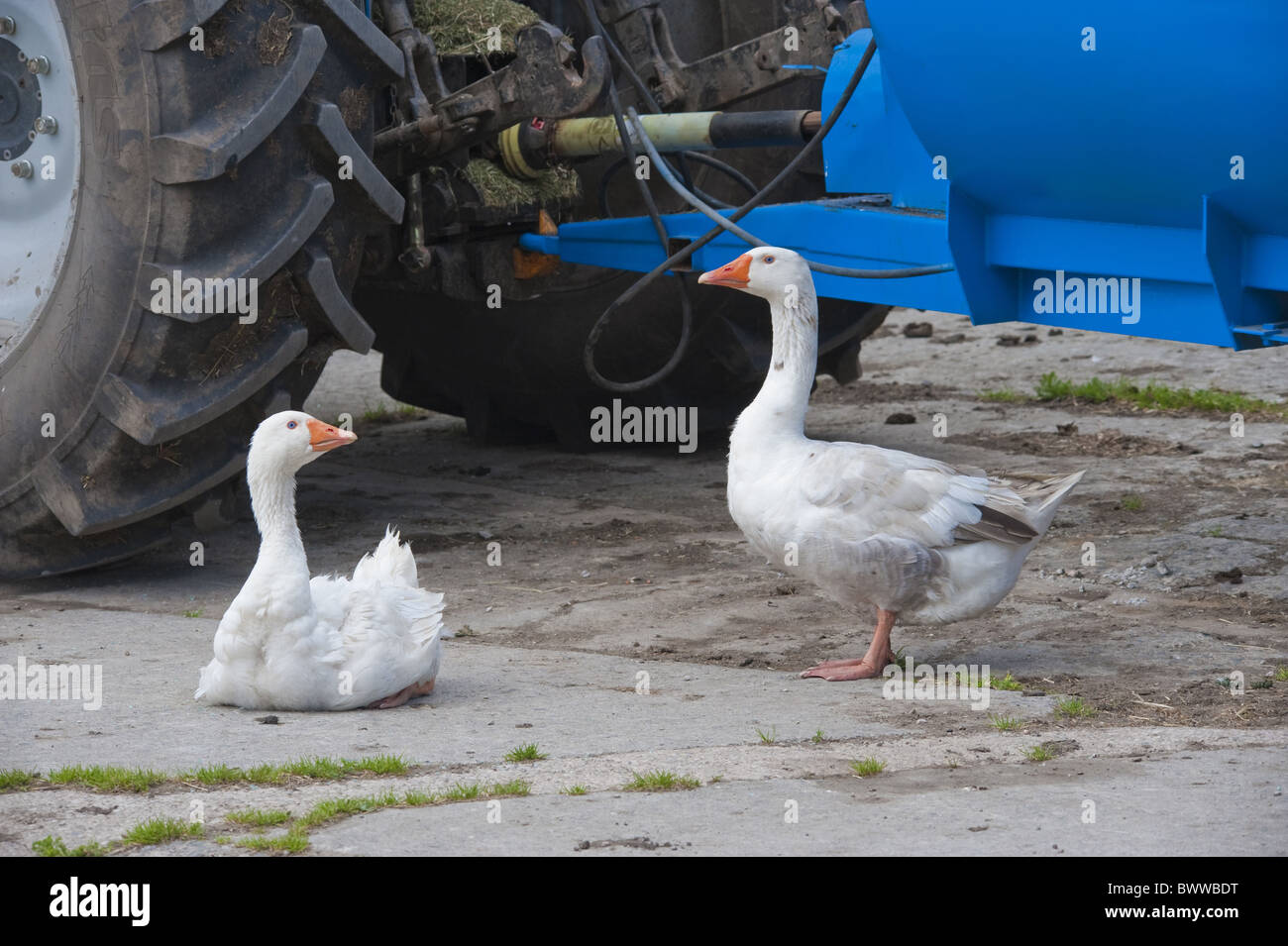 Calder vale lancashire hi-res stock photography and images - Alamy