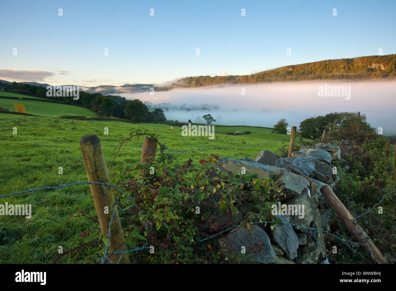 Mist in the Conwy Valley, North Wales. Photographed from farmland above ...