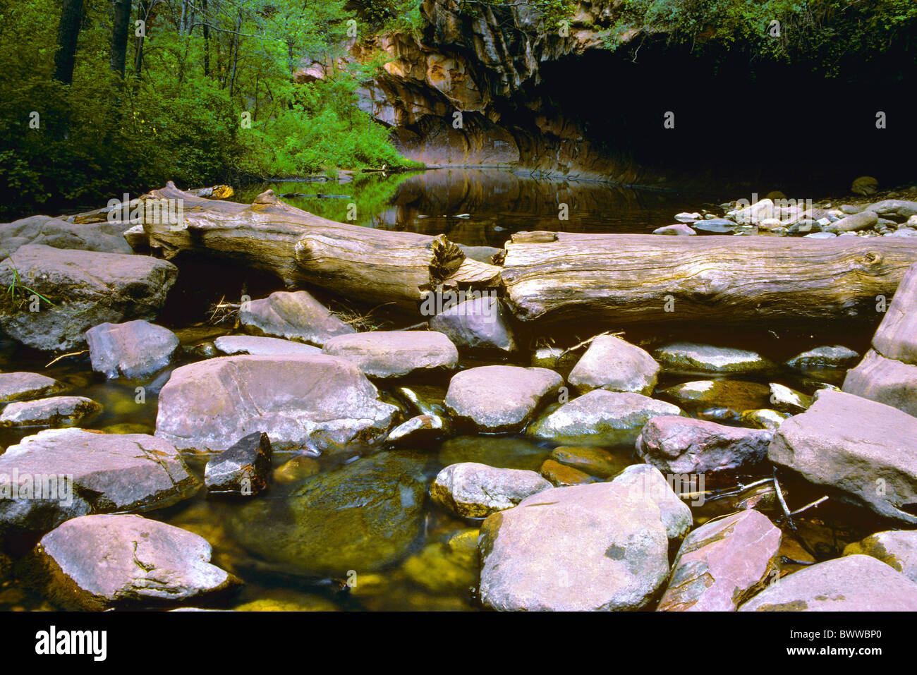 Rocky stream in forest Stock Photo - Alamy