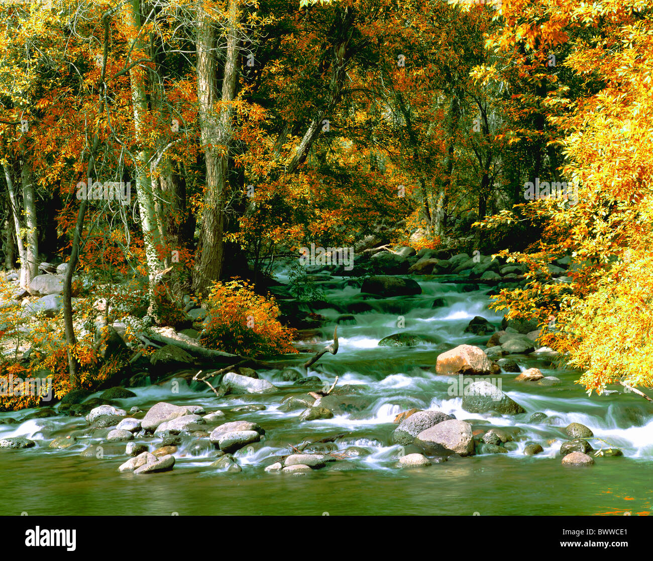 Stream and autumn leaves Stock Photo - Alamy