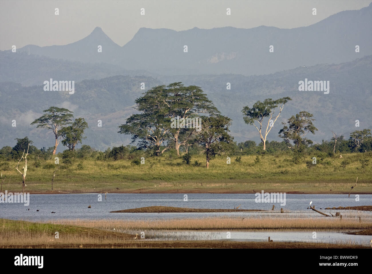 Udawalawe National Park, Sri Lanka - Park consists of dry lowland ...