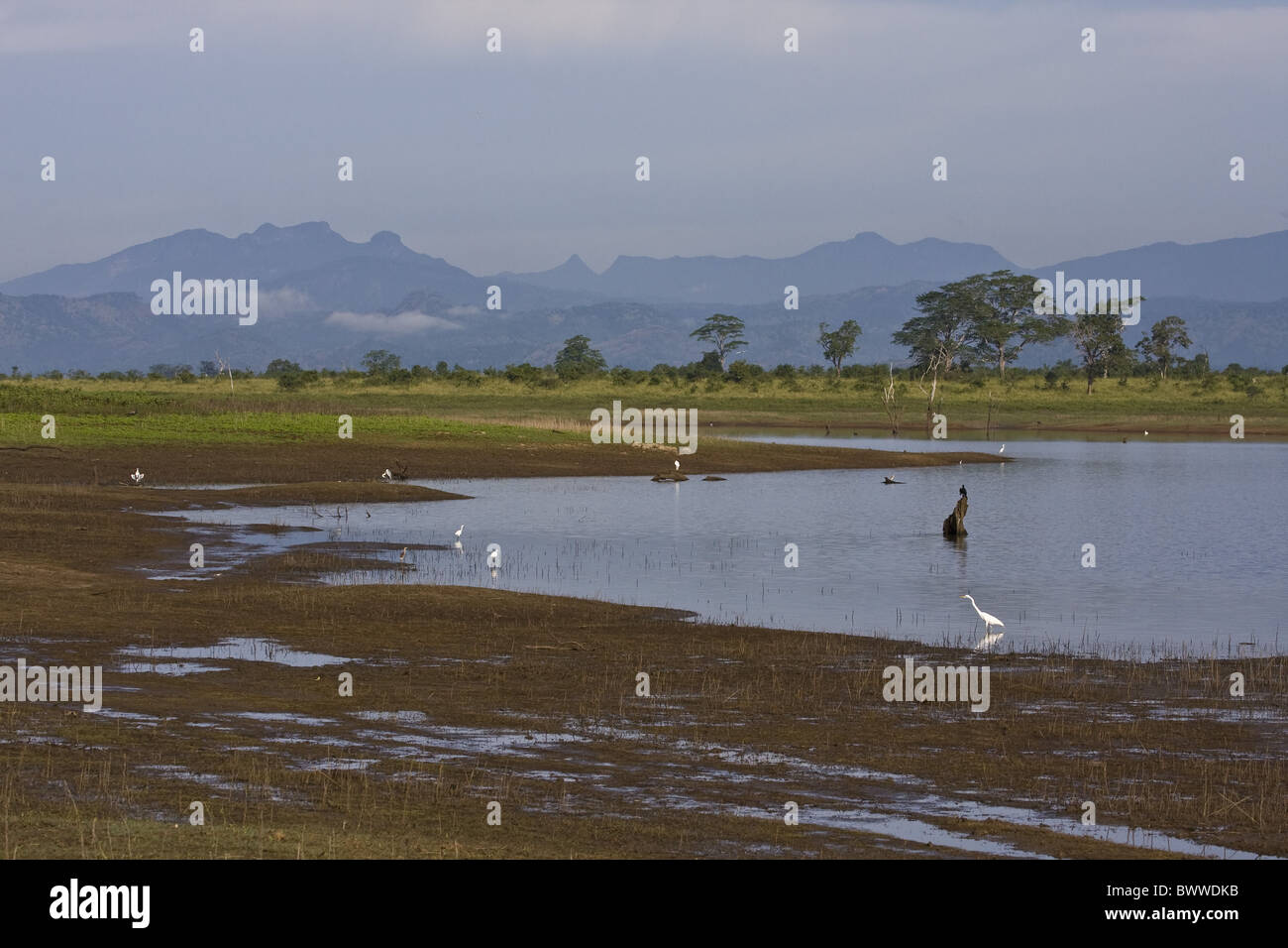 Riverine grasslands hi-res stock photography and images - Alamy