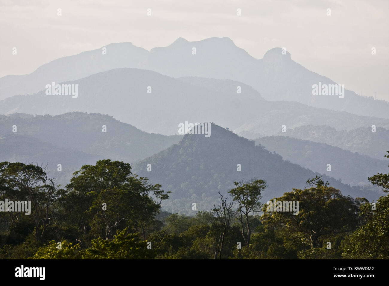 Udawalawe National Park, Sri Lanka - Park consists of dry lowland ...