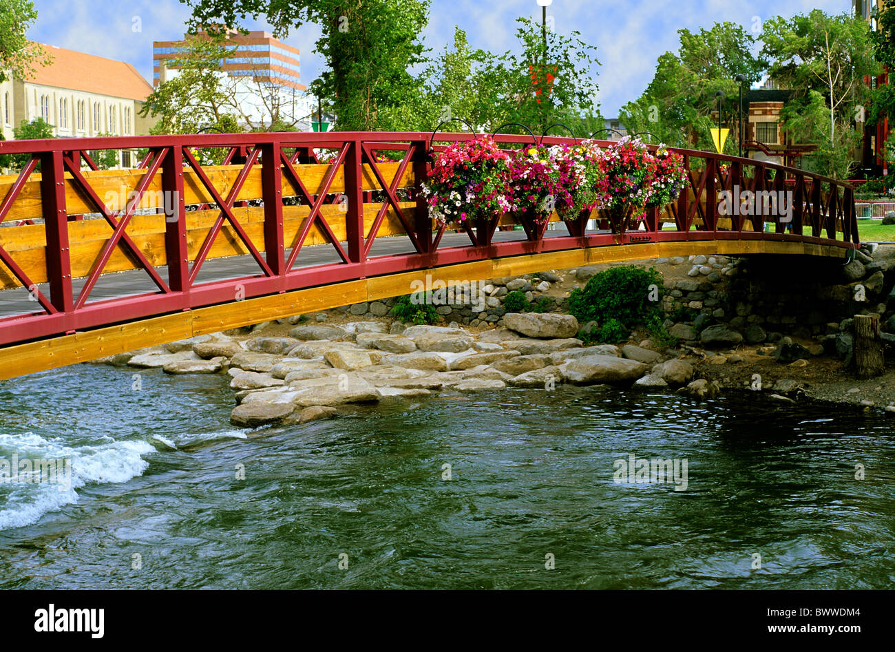 Arched foot bridge Stock Photo - Alamy