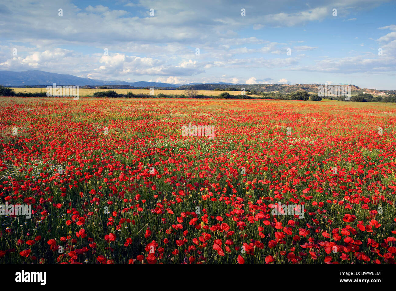 10849957 hi-res stock photography and images - Alamy