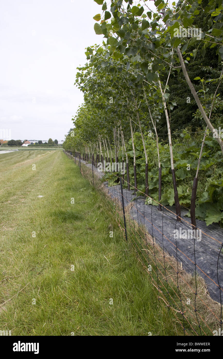 Wind break fence hi-res stock photography and images - Alamy