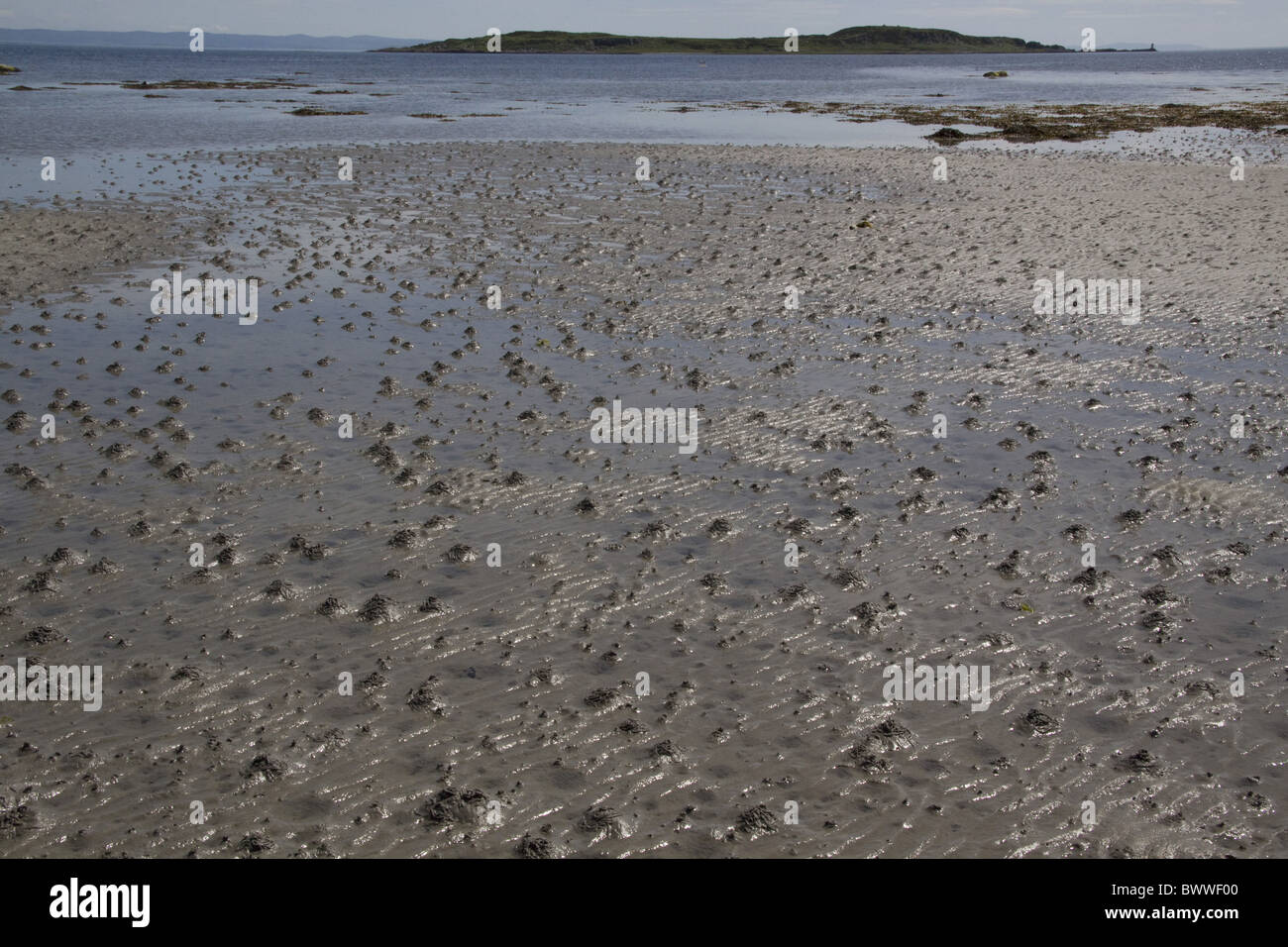 lugworm casts on sandy beach, isle of Jura Stock Photo - Alamy