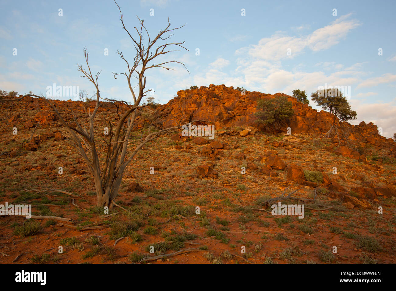 Orange and red rocks with a dead tree in the foreground at Green Head ...
