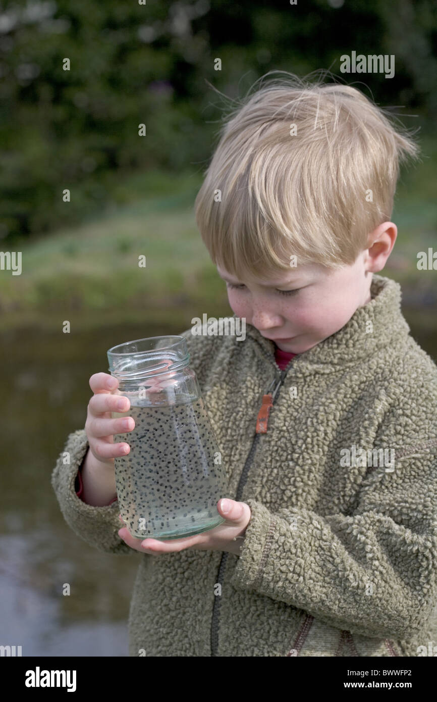Frogspawn jar hi-res stock photography and images - Alamy