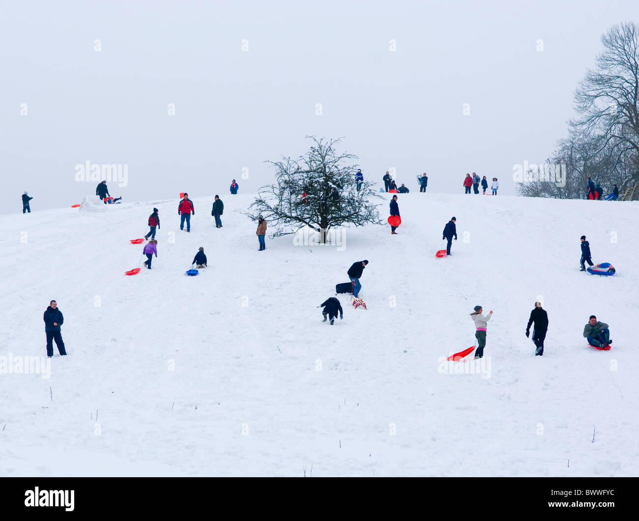 Groups of people sledging in the field opposite Loggerheads Country ...