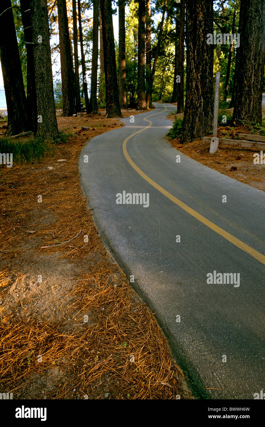 Bike path through forest Stock Photo - Alamy